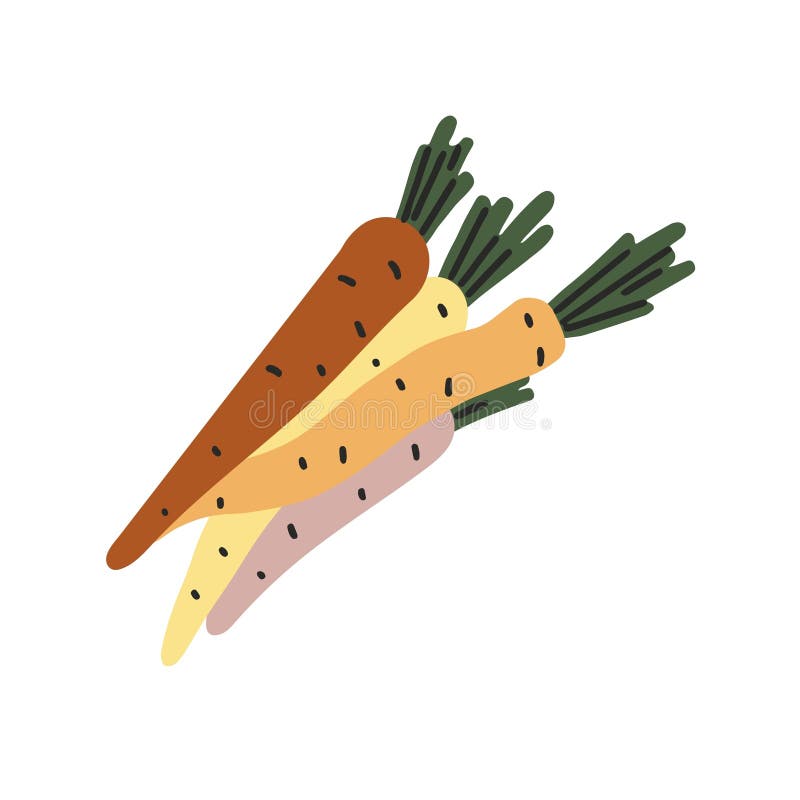 Different Coloured Carrots. Farm Harvest of Root Vegetables. Natural ... Different Coloured Carrots. Farm Harvest of Root Vegetables. Natural ...