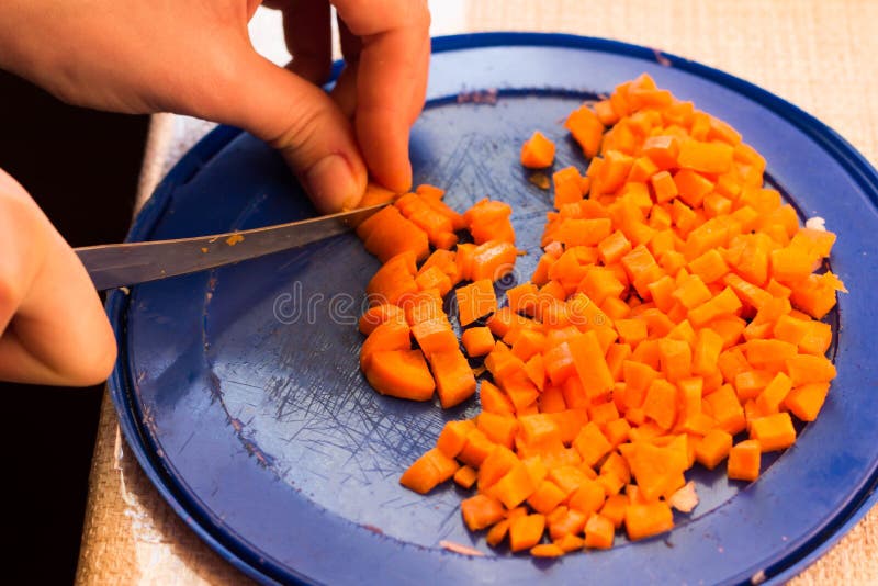 Different Cuts of Carrot in Bowls Stock Image - Image of carotene ...