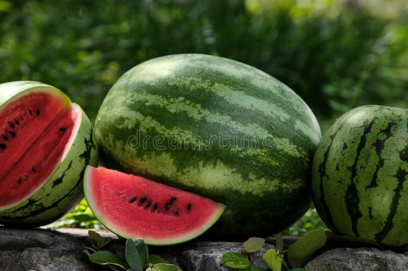 Different Delicious Ripe Watermelons on Stone Surface Outdoors, Closeup ...