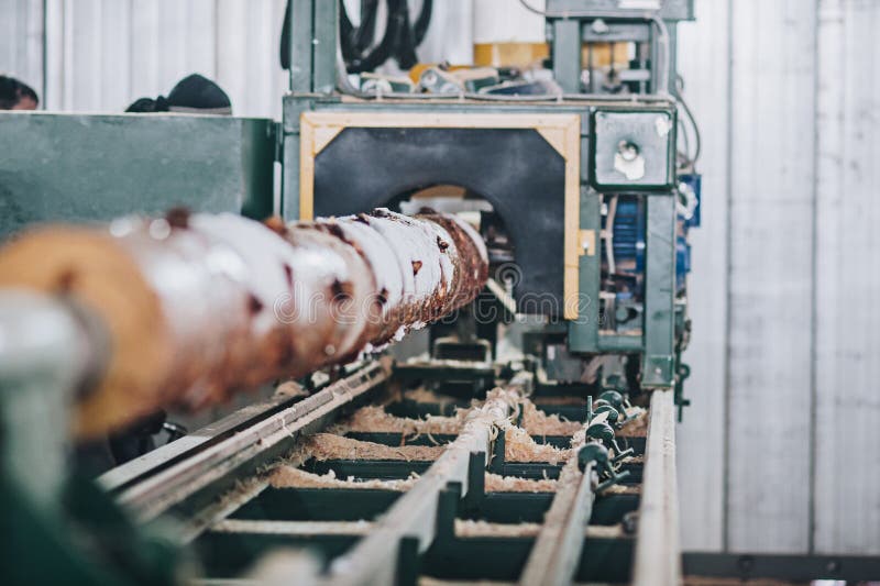 Tree Trunk in Woodworking Machine Stock Photo - Image of chainsaw ...
