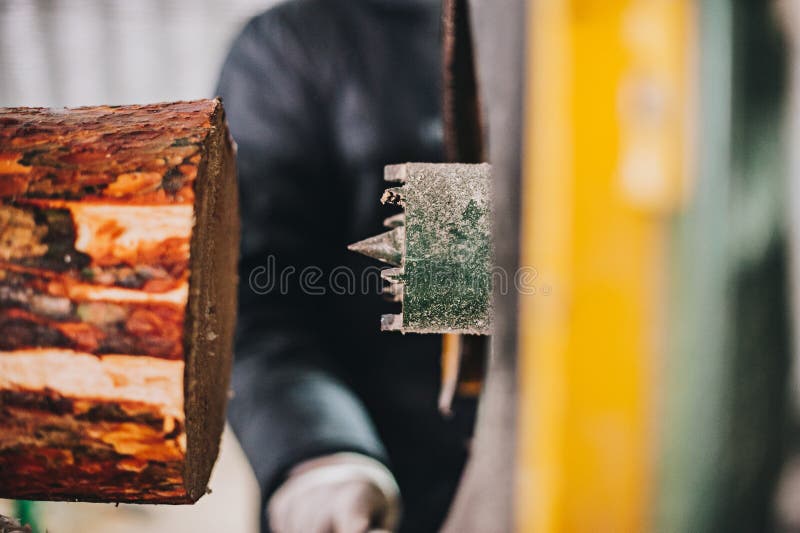 Tree Trunk in Woodworking Machine Stock Photo - Image of carving ...