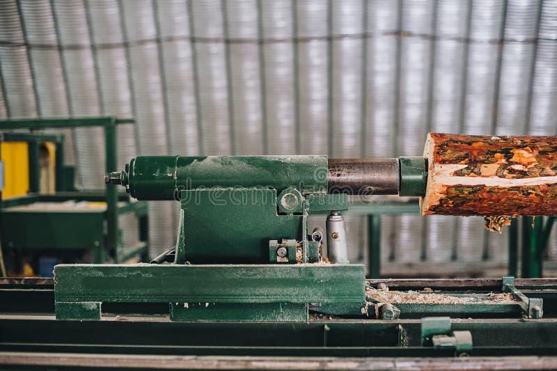 Tree Trunk in Woodworking Machine Stock Photo - Image of carpentry ...