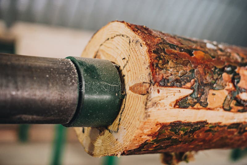 Tree Trunk in Woodworking Machine Stock Photo - Image of machinery ...