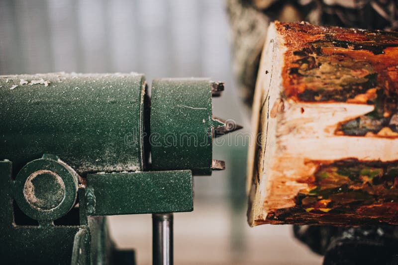 Tree Trunk in Woodworking Machine Stock Photo - Image of plank ...