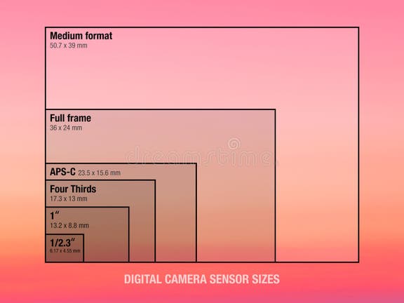 Digital Camera Sensor Sizes Comparison Stock Illustration ...