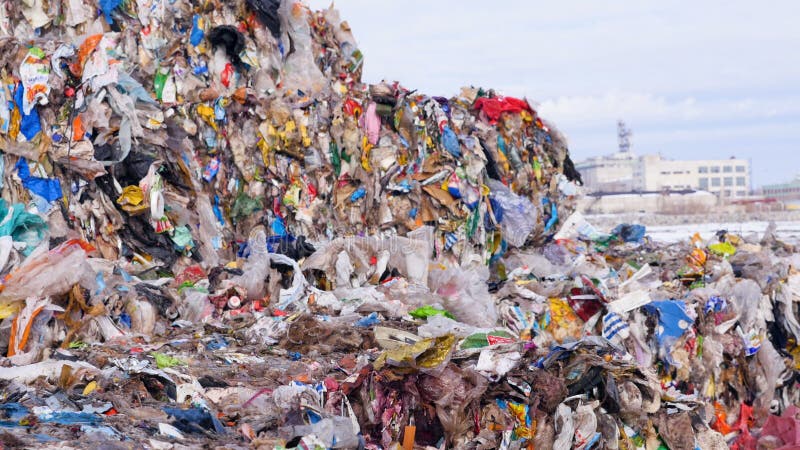 Different Garbage and Trash on a Ground in the Forest Stock Footage ...