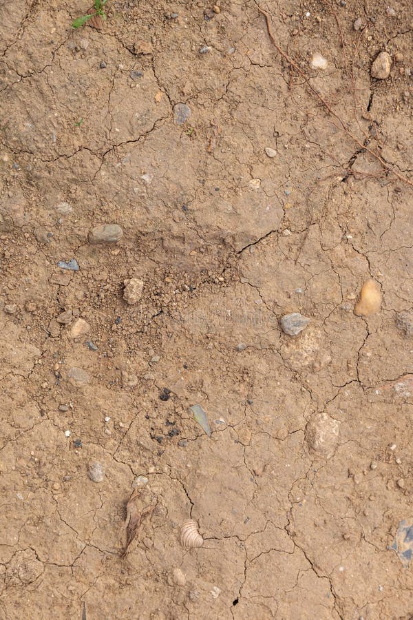 Different earth textures stock image. Image of ground - 371404637