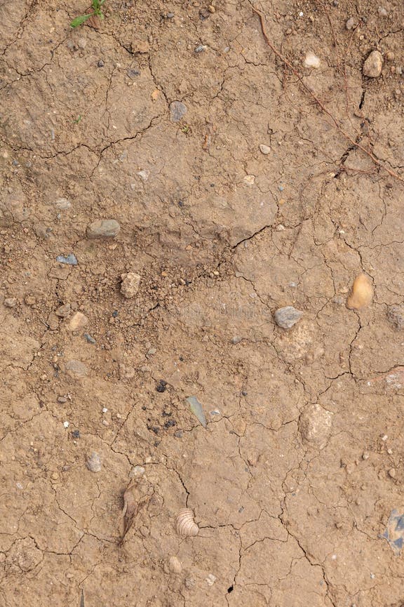 Different earth textures stock image. Image of ground - 371404637