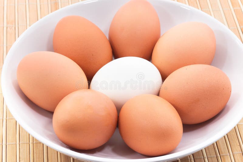 Different eggs stock photo. Image of cardboard, ellipse - 37261880