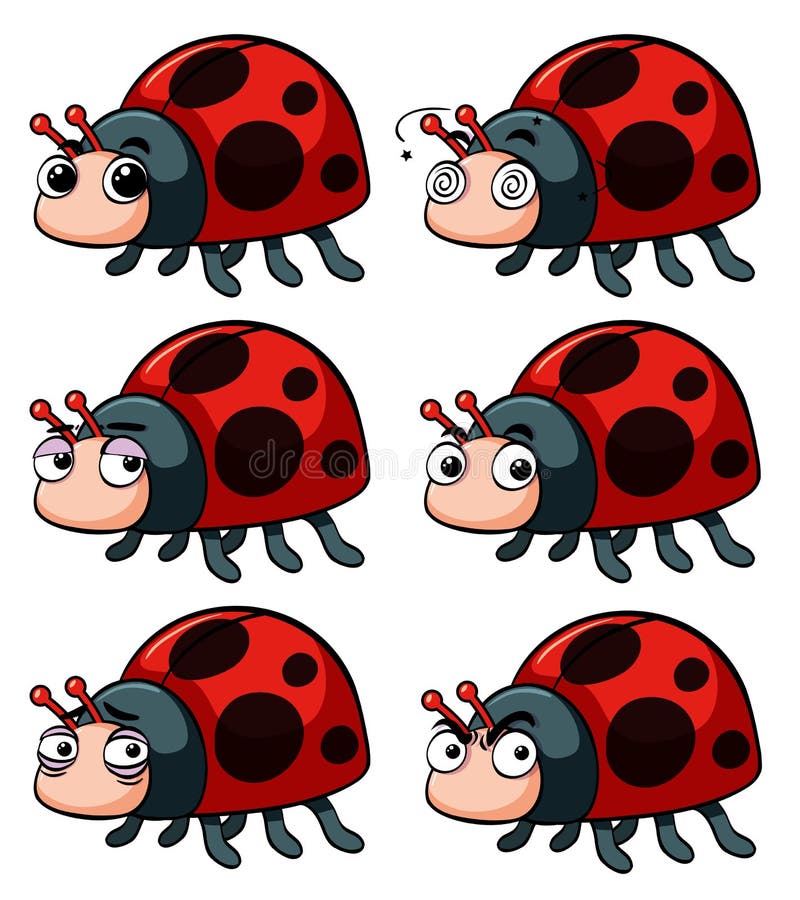 Angry Ladybug Stock Illustrations – 94 Angry Ladybug Stock ...