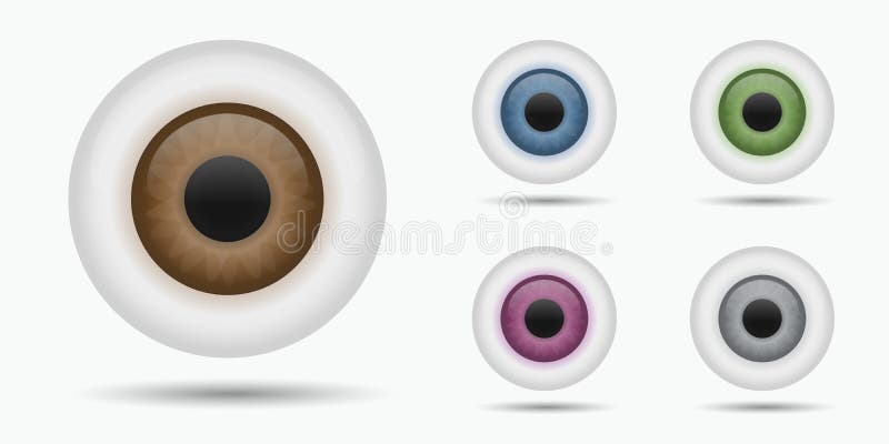 Different Eyeballs Eye Iris Vector Illustrations Stock Vector ...