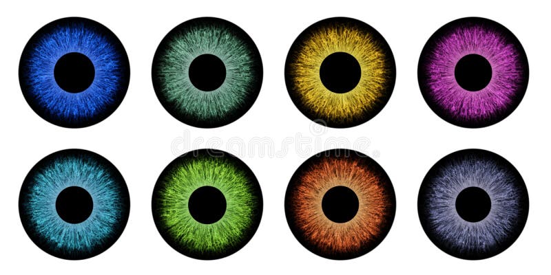 Different Eyes Iris Macro Illustration without Light Spot Stock ...