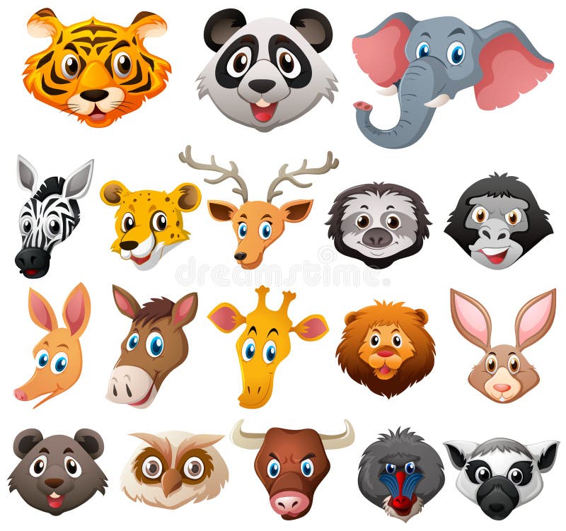 Different Faces of Wild Animals Stock Vector - Illustration of exotic ...