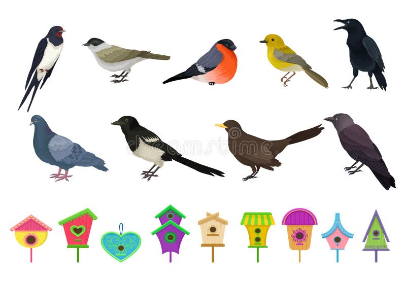 Different Feathered Birds and Nesting Box or Birdhouse Big Vector Set ...