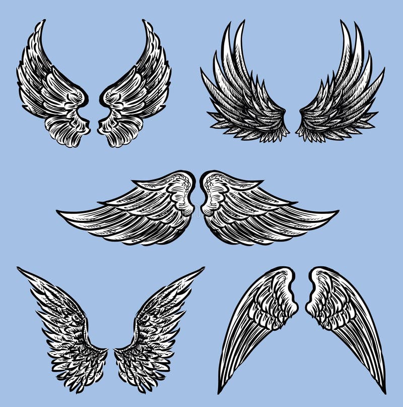 The Different Fictional Wings Stock Vector - Illustration of fabulous ...