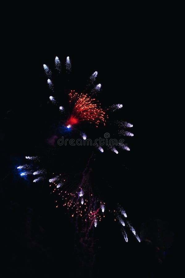 Different Fireworks Creating the Drawing of a Flower in the Middle of ...