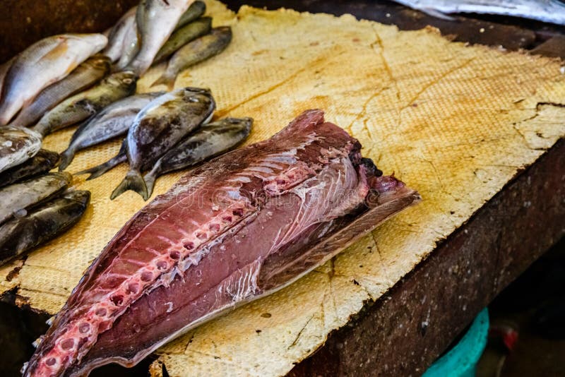 Different Fish for Sale at the Fish Market Stock Photo - Image of meal ...