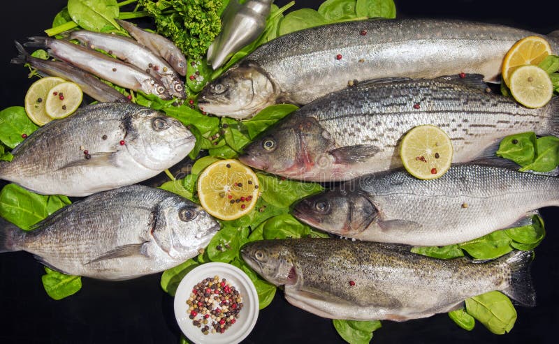 Different fish. Top View stock photo. Image of crowd - 128421918