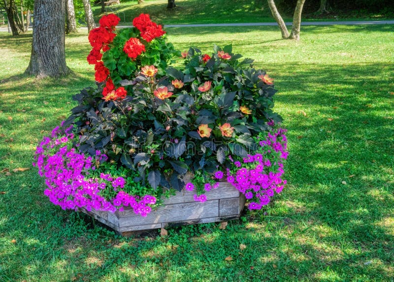 Different flowers stock photo. Image of botany, beautiful - 254917804