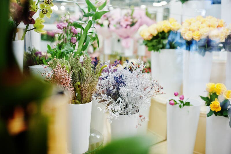 Different Flowers on Pots at Flower Store. Stock Photo - Image of ...