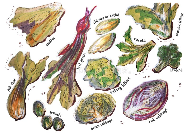 Different Food Components, Isolated on White Stock Illustration ...