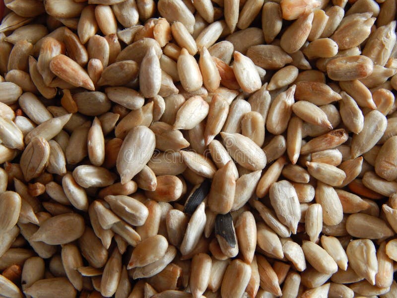 Different food and texture stock photo. Image of spice - 89709358