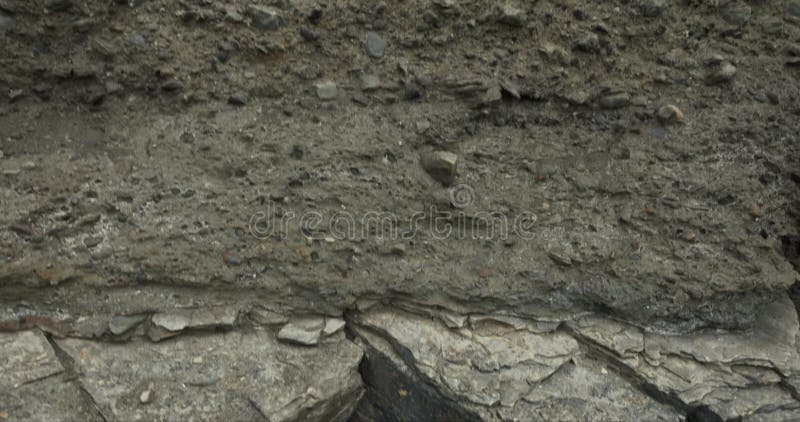 Different Forms in Cross Section of Soil Horizon Layers in 4k Stock ... Different Forms in Cross Section of Soil Horizon Layers in 4k Stock ...