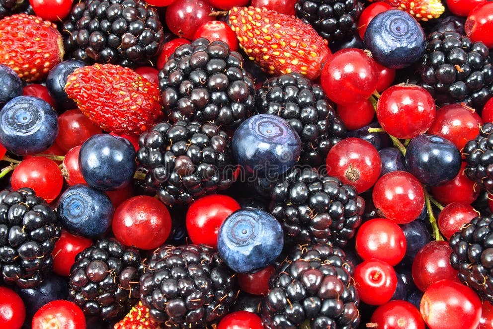 Different fresh berries stock image. Image of group, blackberries ...