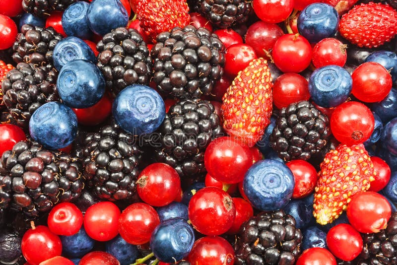 Different fresh berries stock image. Image of life, close - 28615497