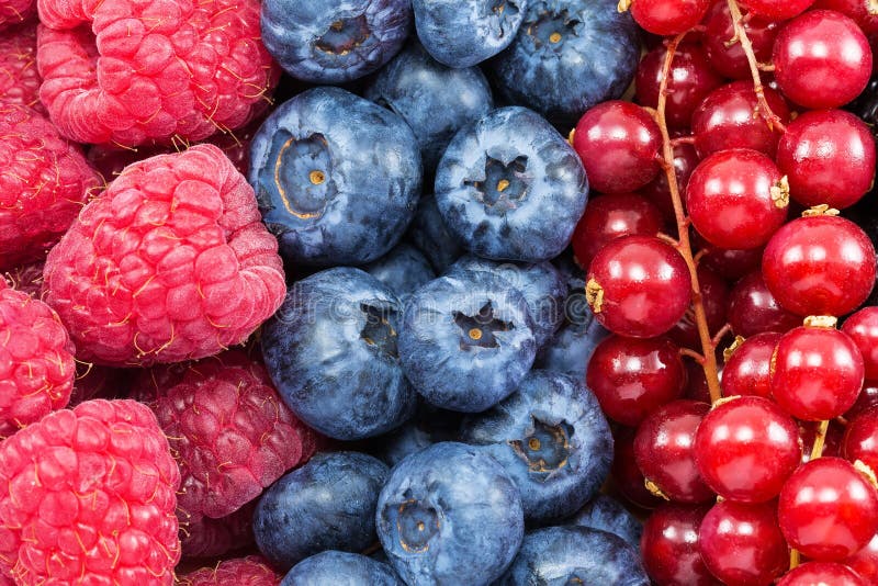 Different fresh berries stock image. Image of life, close - 28615497