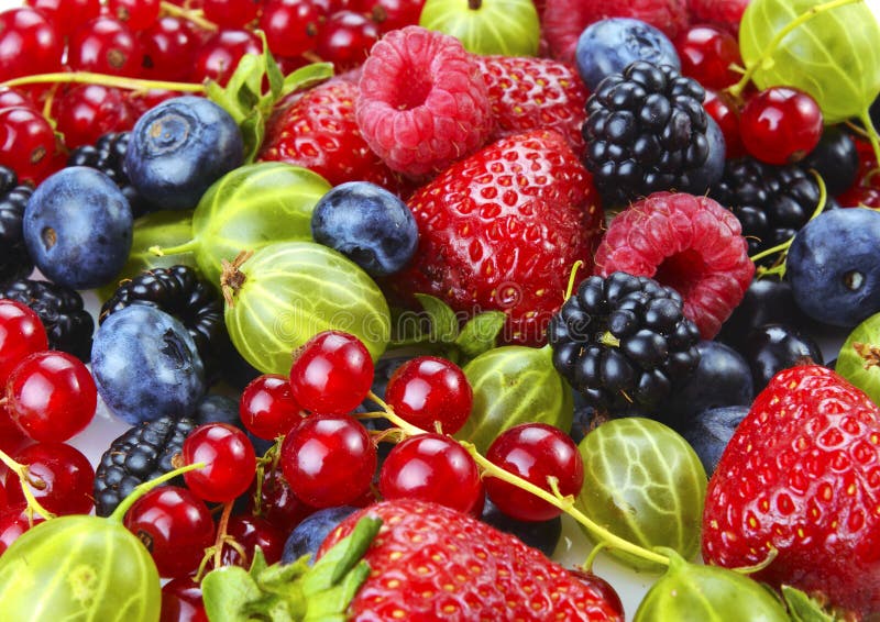Different fresh berries stock photo. Image of blue, white - 35380140