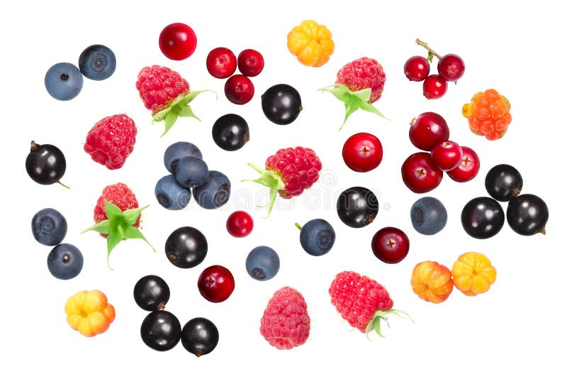 Different Fresh Berries, Top View Stock Photo - Image of rubus, fresh ...