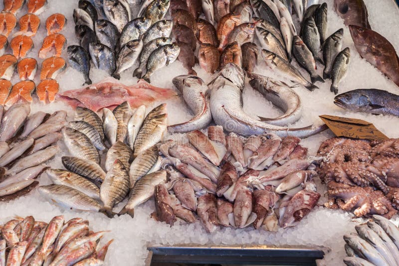 Different Fresh Fish on the Fishpond Bench Stock Image - Image of tasty ...