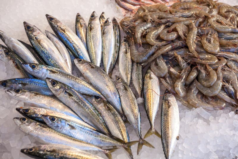 Different Fresh Fish on the Fishpond Bench Stock Illustration ...