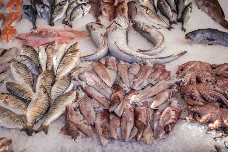 Different Fresh Fish on the Fishpond Bench Stock Illustration ...