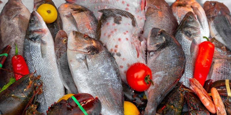 Different Fresh Fish and Seafood, Lobster Stock Image - Image of ...