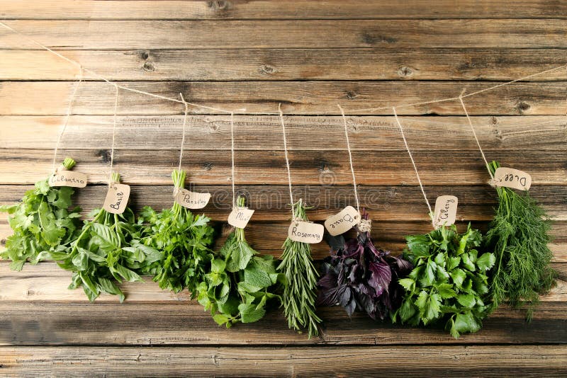 Fresh herbs stock photo. Image of mint, bunch, leaves - 102374626