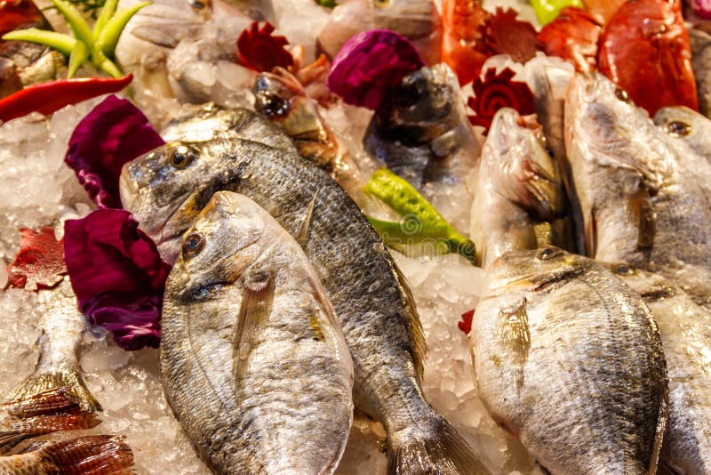 Different Fresh Raw Fish at Fish Market Stock Photo - Image of diet ...