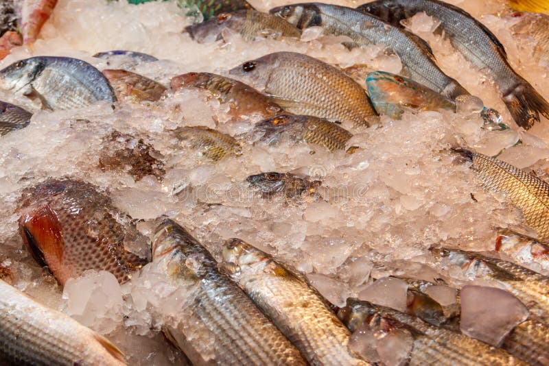 Different Fresh Raw Fish at Fish Market Stock Photo - Image of food ...