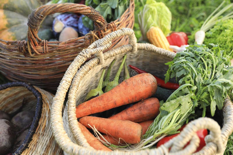 Different Fresh Ripe Vegetables in Wicker Baskets Outdoors, Closeup ...