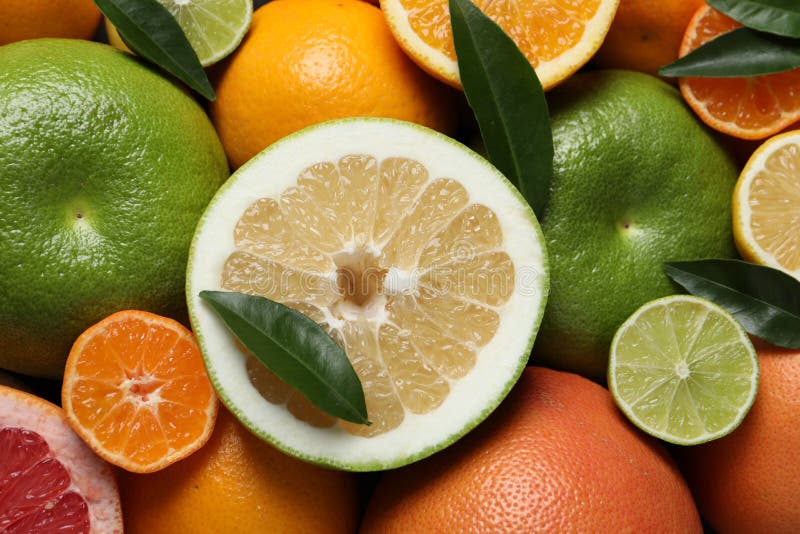 Different Fresh Whole and Cut Citrus Fruits As Background, Top View ...