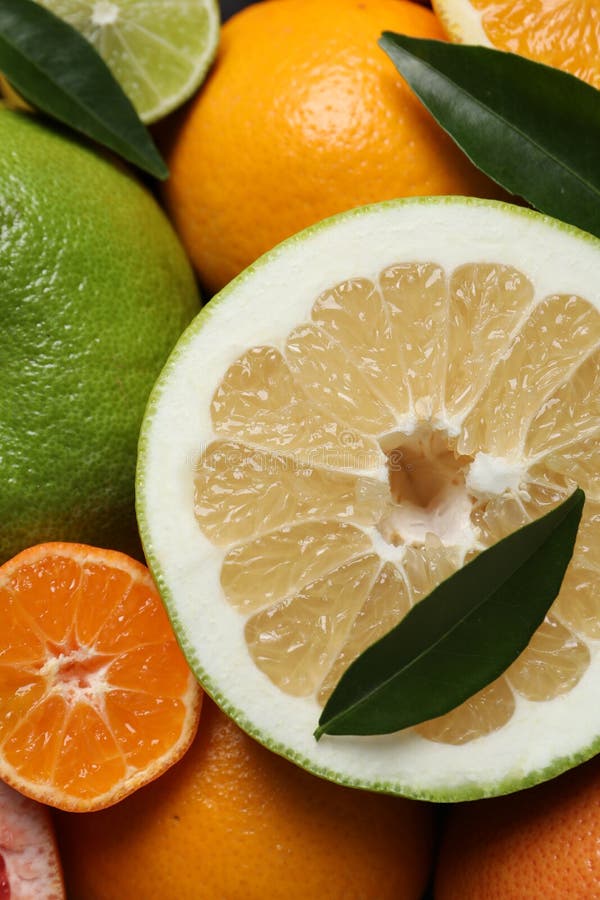 Different Fresh Whole and Cut Citrus Fruits As Background, Top View ...