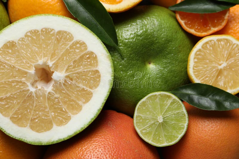 Different Fresh Whole and Cut Citrus Fruits As Background, Top View ...