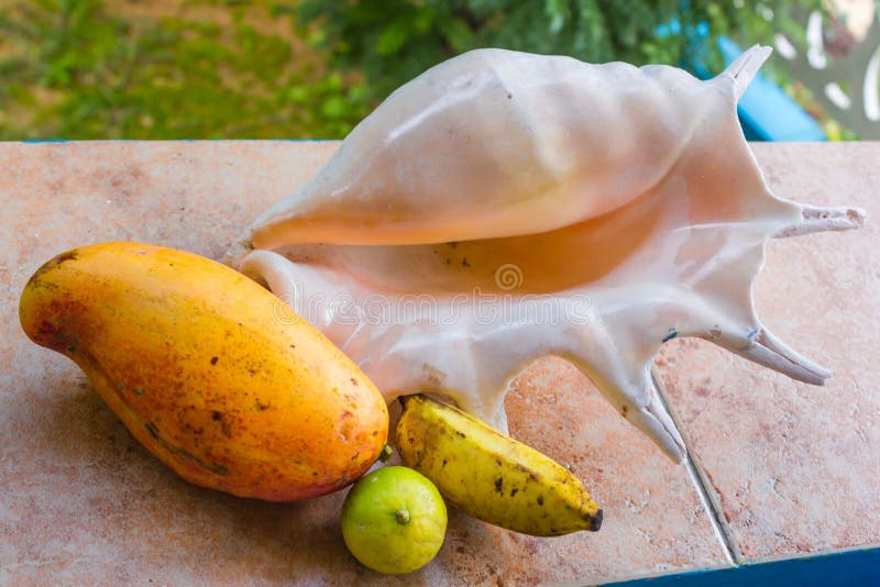 Different Fruits and Big Shell on Table Stock Image - Image of detox ...