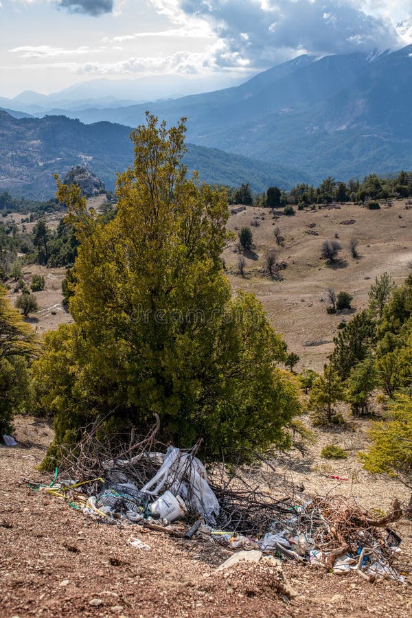 Pollution in forest stock photo. Image of green, destruction - 173161182