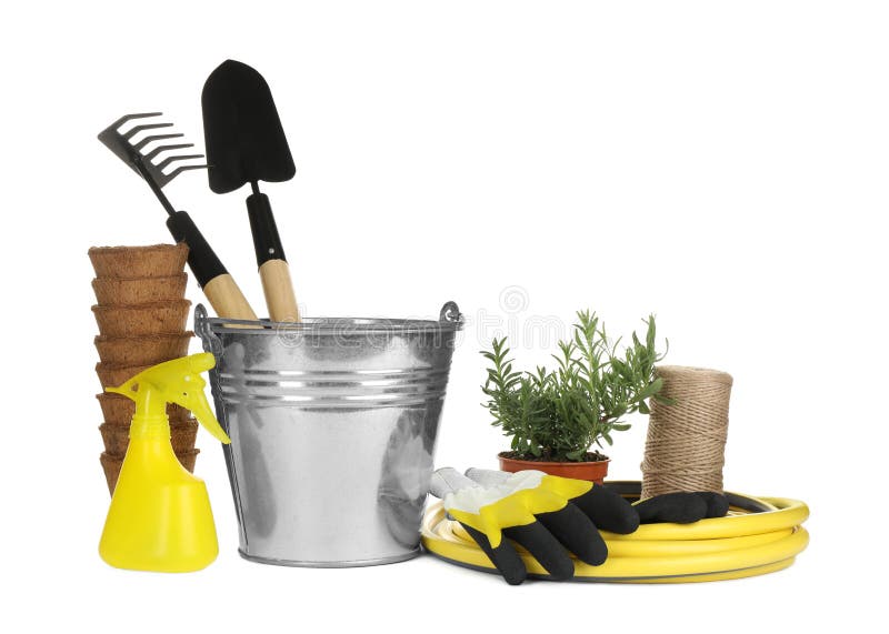 Different Gardening Tools and Green Plant on White Background Stock ...