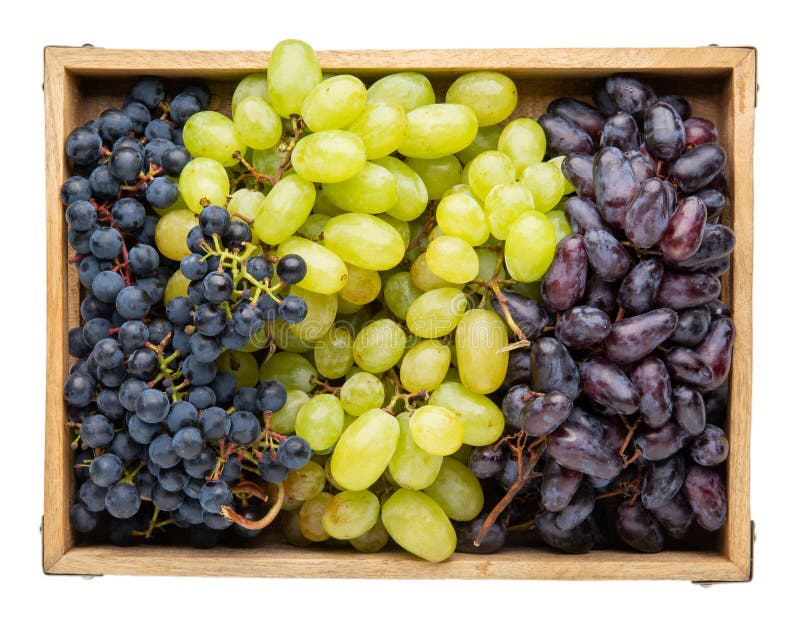 Different Grape Varieties in Wooden Box Isolated on White. Close-up ...
