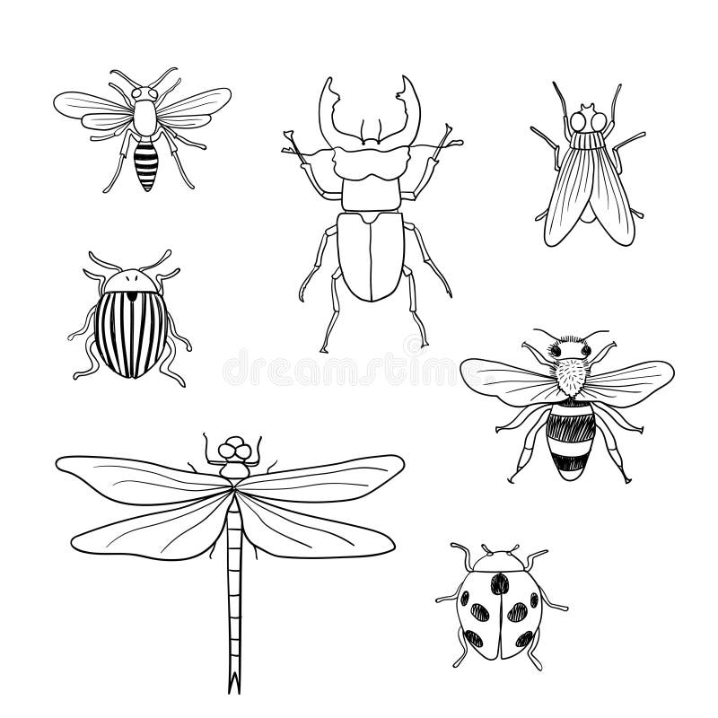 Tiny White Insects Stock Illustrations – 1,927 Tiny White Insects Stock ...