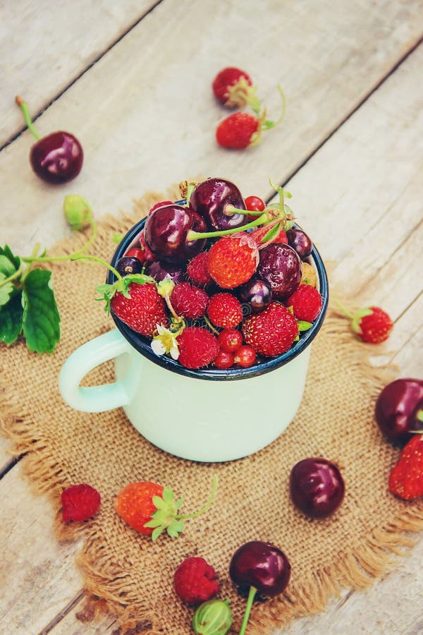 Different Homemade Summer Berries. Stock Photo - Image of food, berries ...