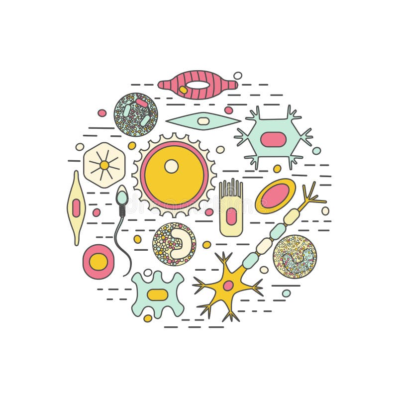 Body Cell Icon Stock Illustrations – 8,775 Body Cell Icon Stock ...